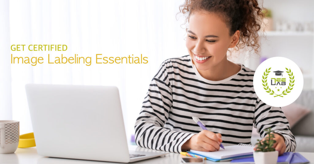 DeeLab Academy: Data Annotation Training And Certification